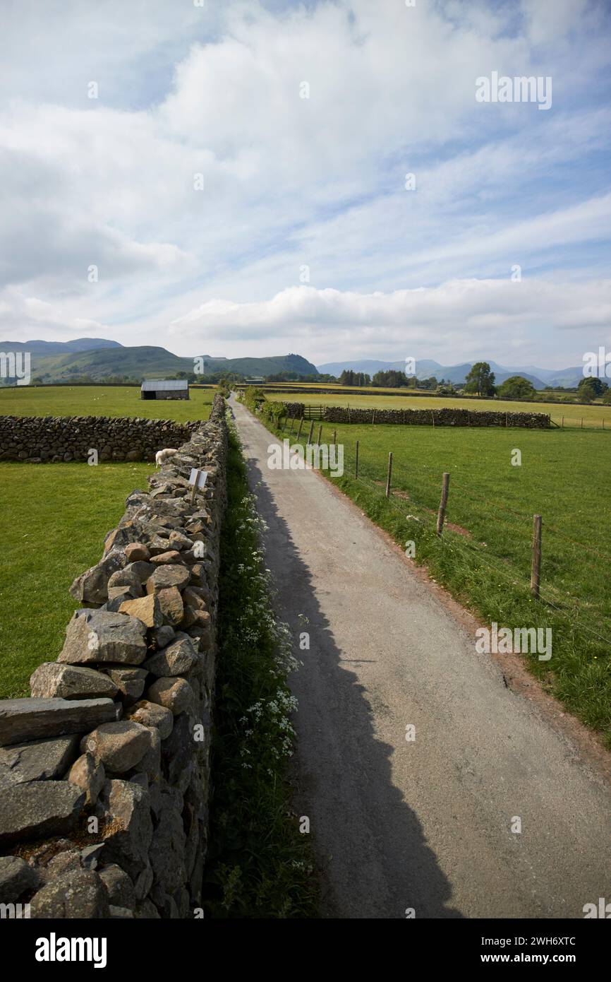 Serene lane hi-res stock photography and images - Alamy