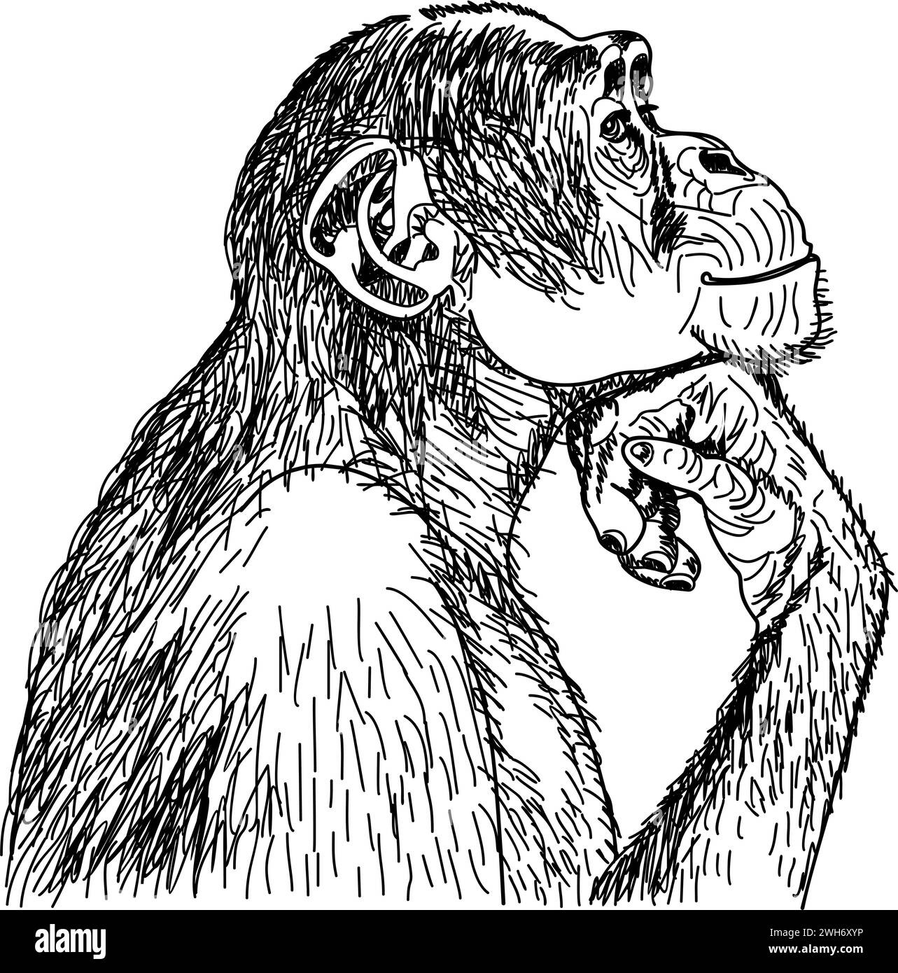 pensive monkey props his chin with his hand Stock Vector Image & Art ...