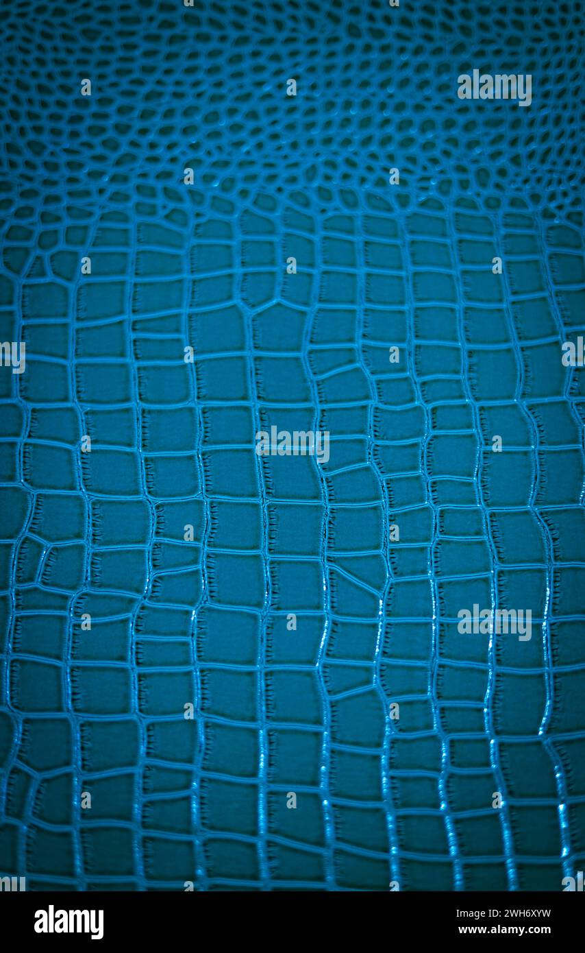 Blue snake skin hi-res stock photography and images - Alamy