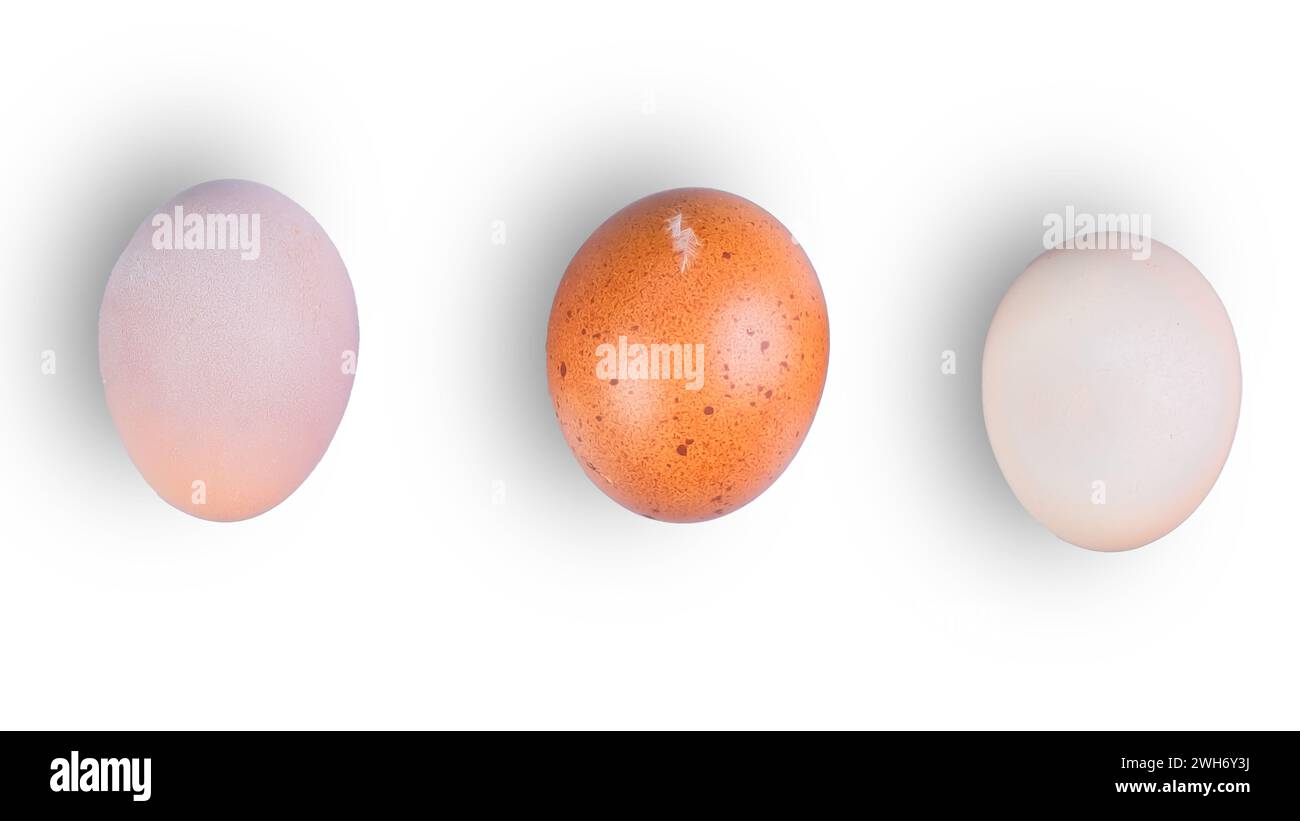 Whole chicken eggs of various shapes and colors on a white background ...
