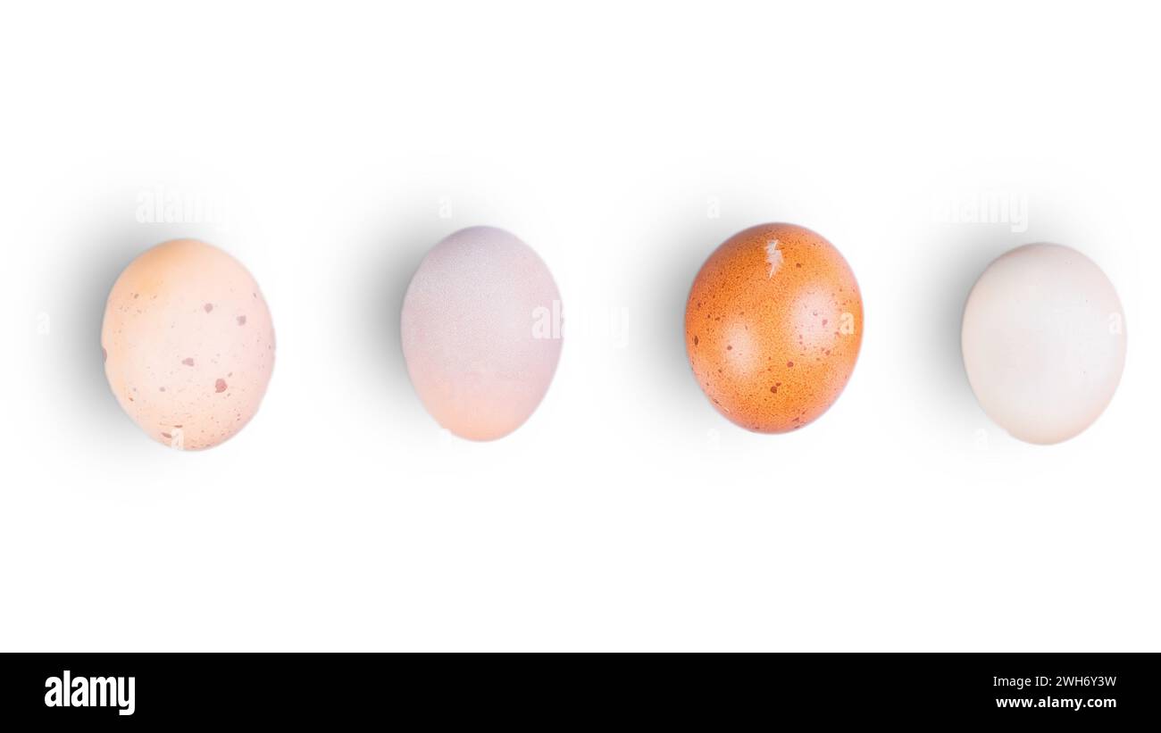 Whole chicken eggs of various shapes and colors Stock Photo - Alamy