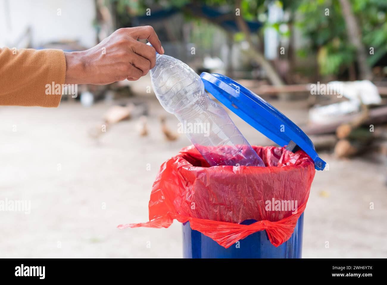 A male hand throwing an empty plastic water bottle into the recycling bin Stock Photo - Alamy