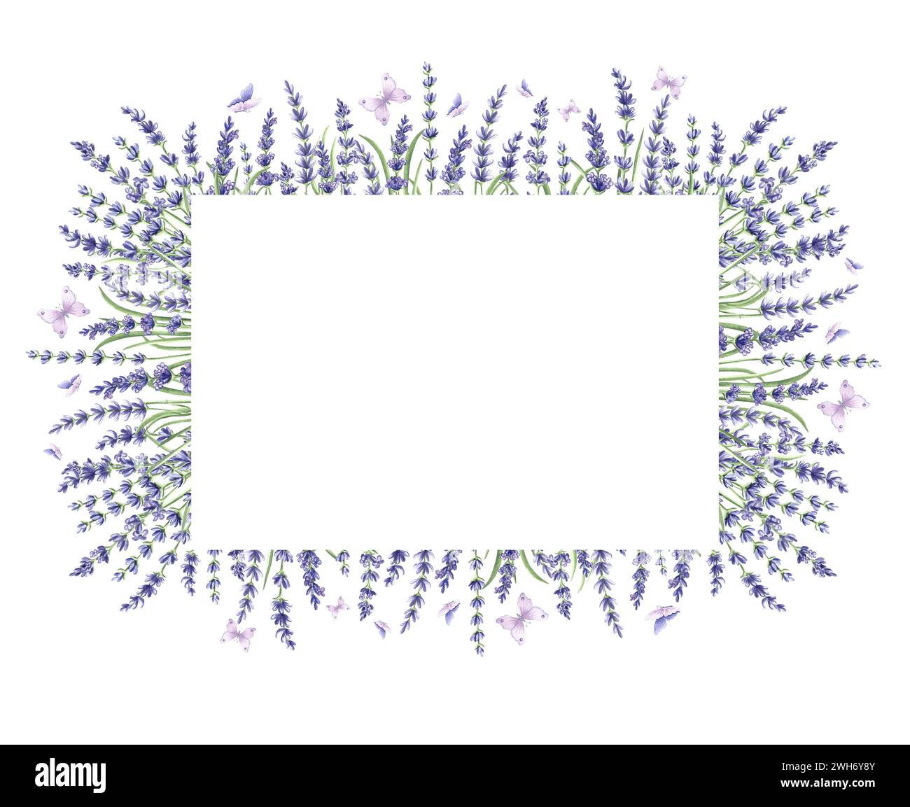 Watercolor horizontal frame from purple lavender flowers with green ...