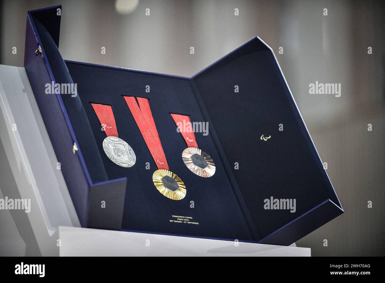 Unveiling of the Paralympic medals for the Paris 2024 Olympic Games ...