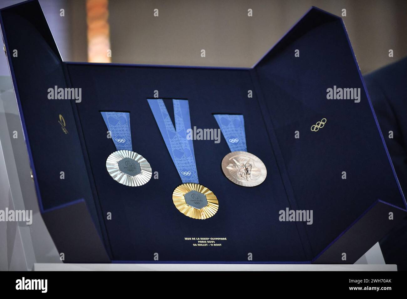 Unveiling of the Paralympic medals for the Paris 2024 Olympic Games ...