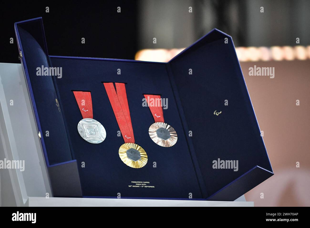 Unveiling of the Paralympic medals for the Paris 2024 Olympic Games ...