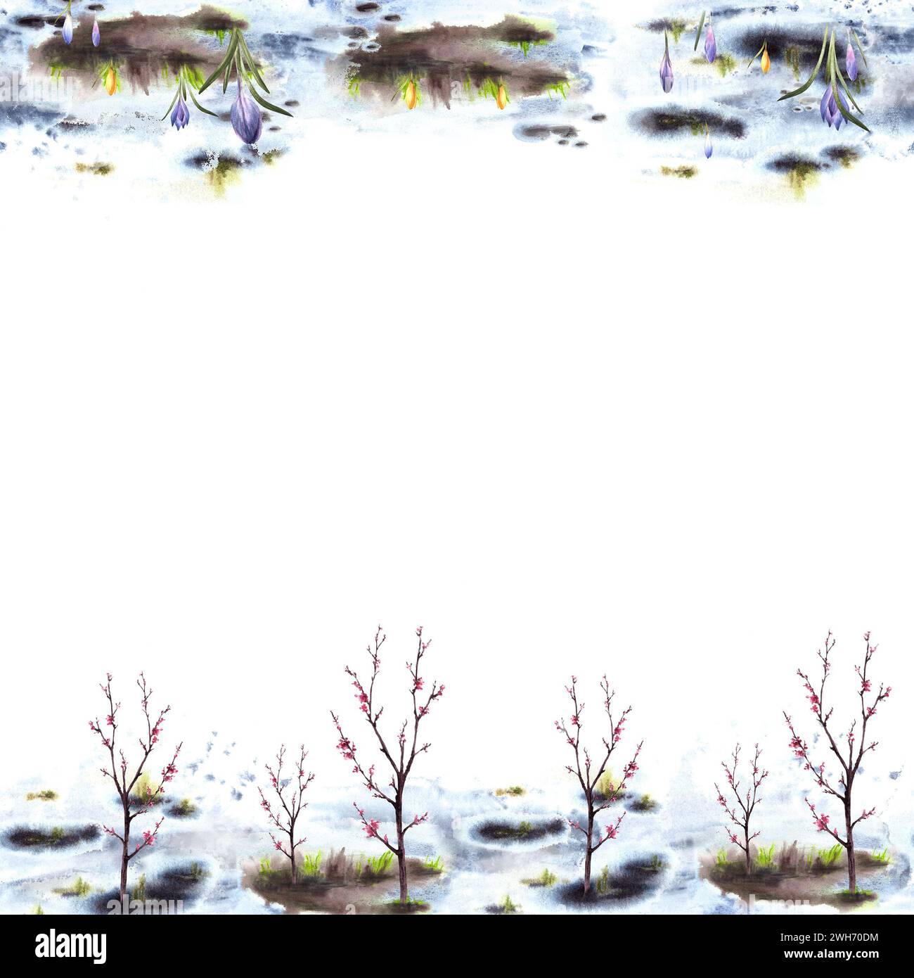 Primary plants flowers, crocus, snowdrop, blossoming spring trees of ...