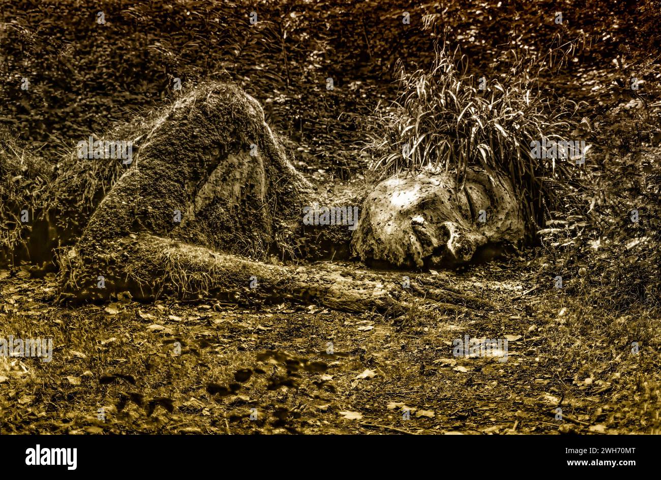 Sculpture „The Mud Maid“ by Susan Hill, The Lost Gardens of Heligan ...