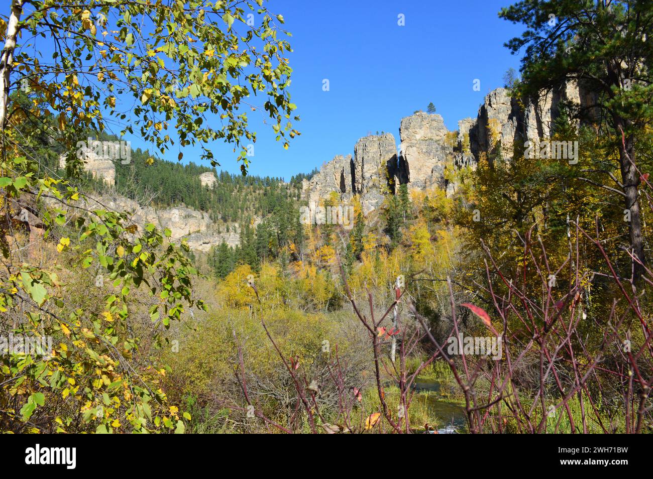 Beautiful Black Hills of South Dakota, early fall scenery Stock Photo ...