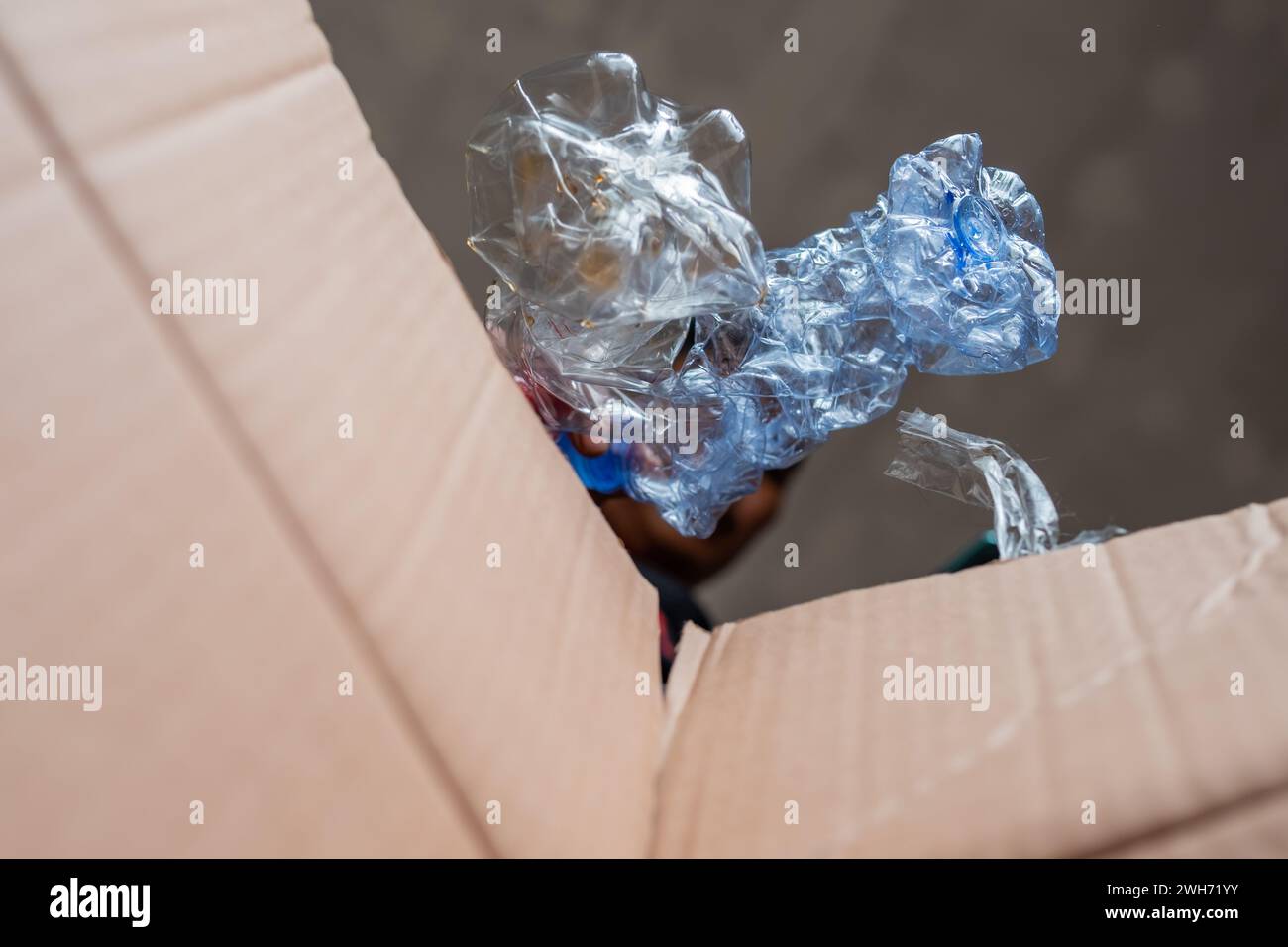 Collect used plastic bottles that can be recycled into cardboard boxes ...