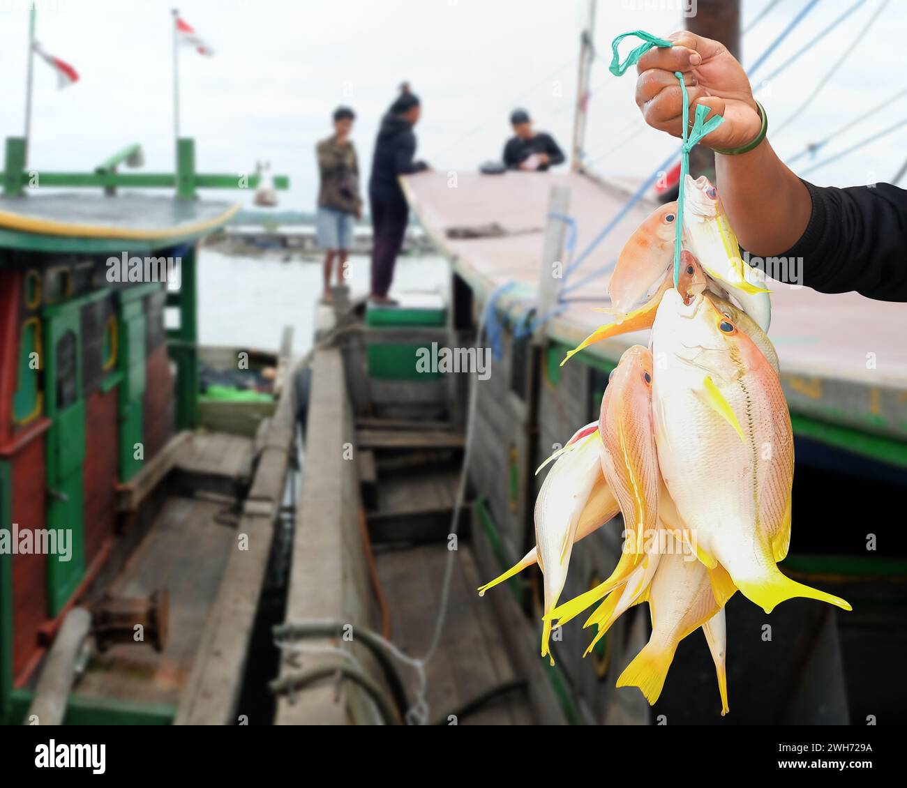 Fresh snapper caught by fishermen Stock Photo - Alamy