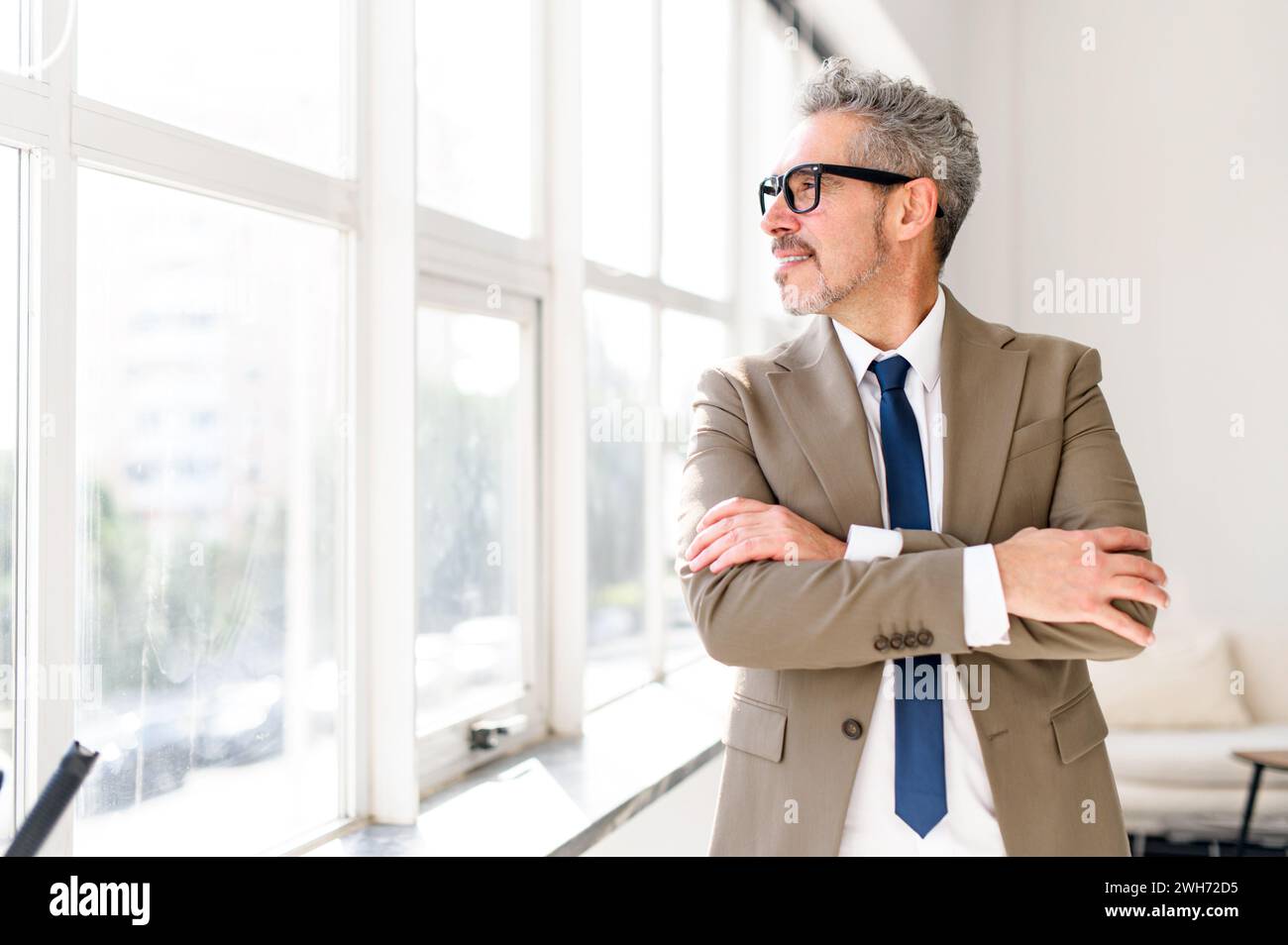The cheerful mature grey-haired businessman looks off into the distance ...
