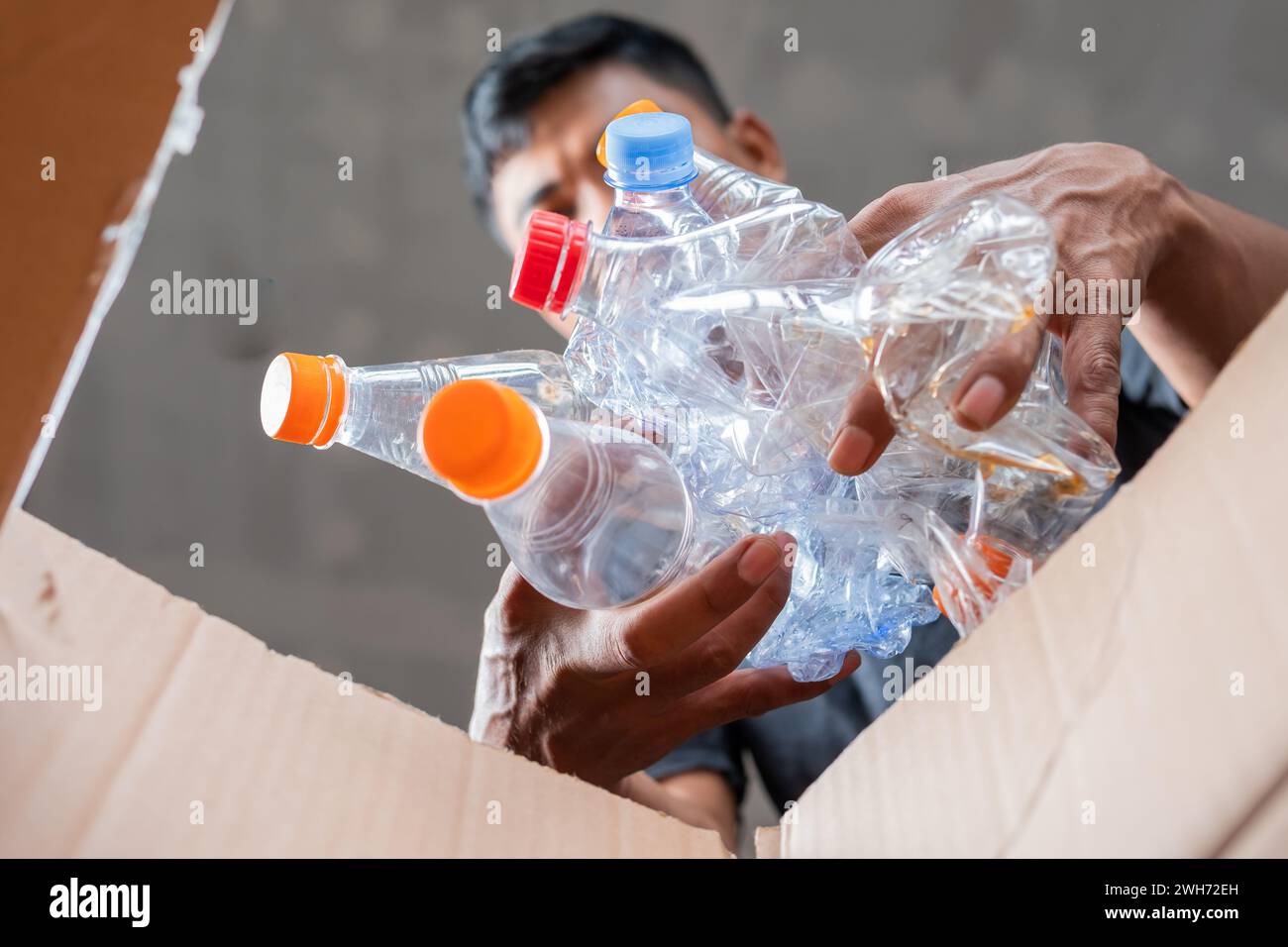 A man collects and puts recyclable plastic bottles in a cardboard box ...