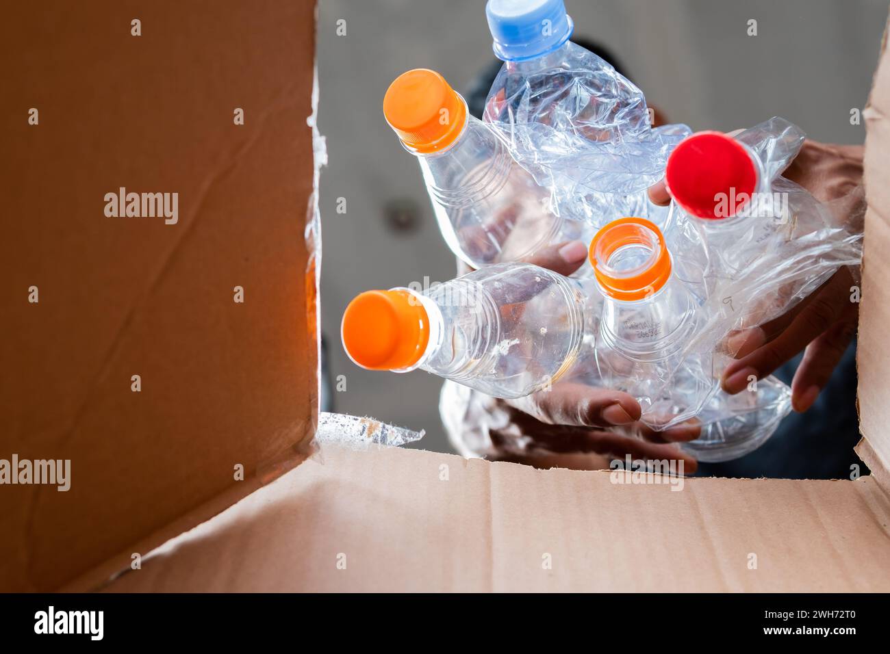 A man collects and puts recyclable plastic bottles in a cardboard box ...