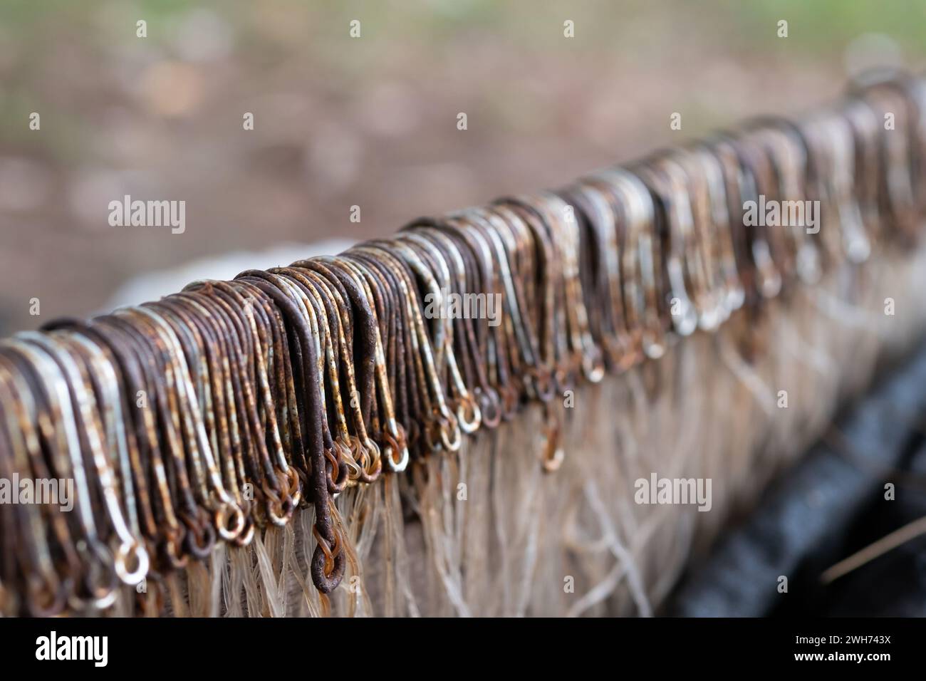 Fishhook fish hi-res stock photography and images - Alamy