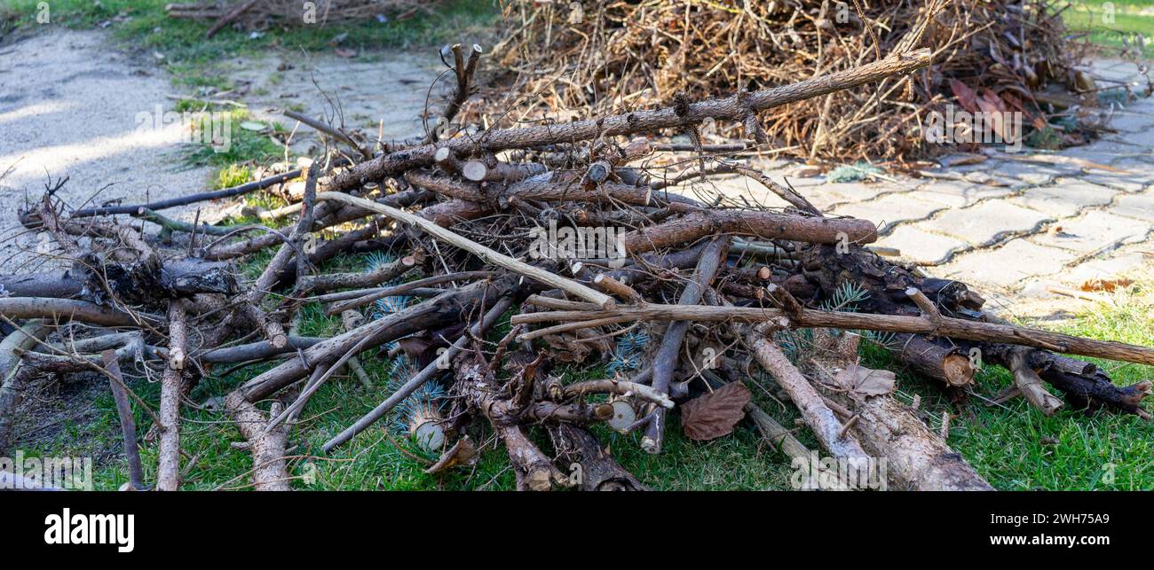 Cutting back bush hi-res stock photography and images - Alamy