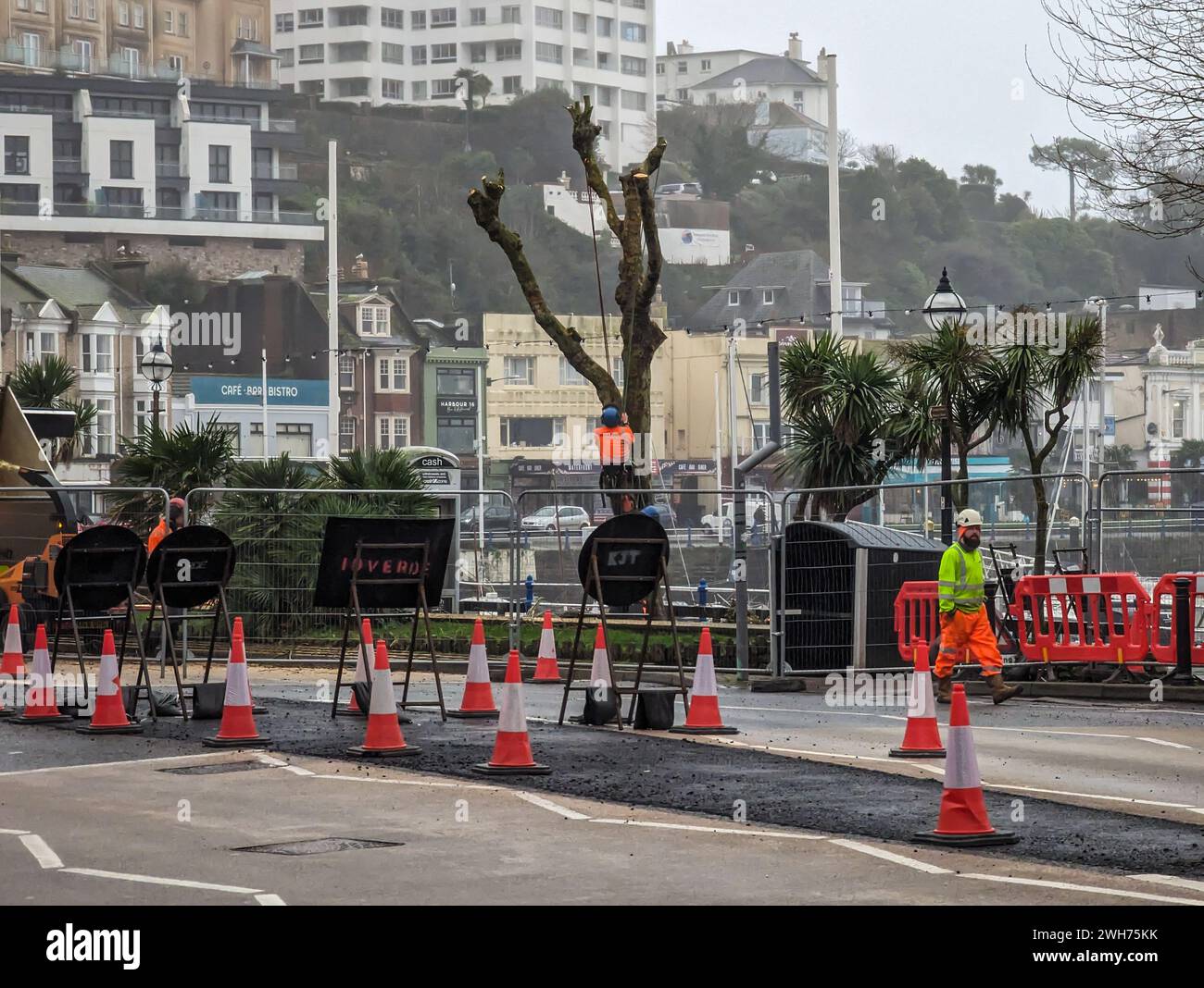 Torquay, UK. 8th Feb, 2024. Council workers cut down trees along the ...
