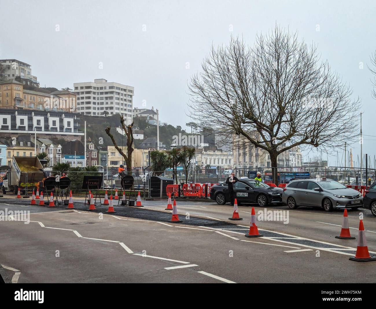 Torquay, UK. 8th Feb, 2024. Council workers cut down trees along the ...
