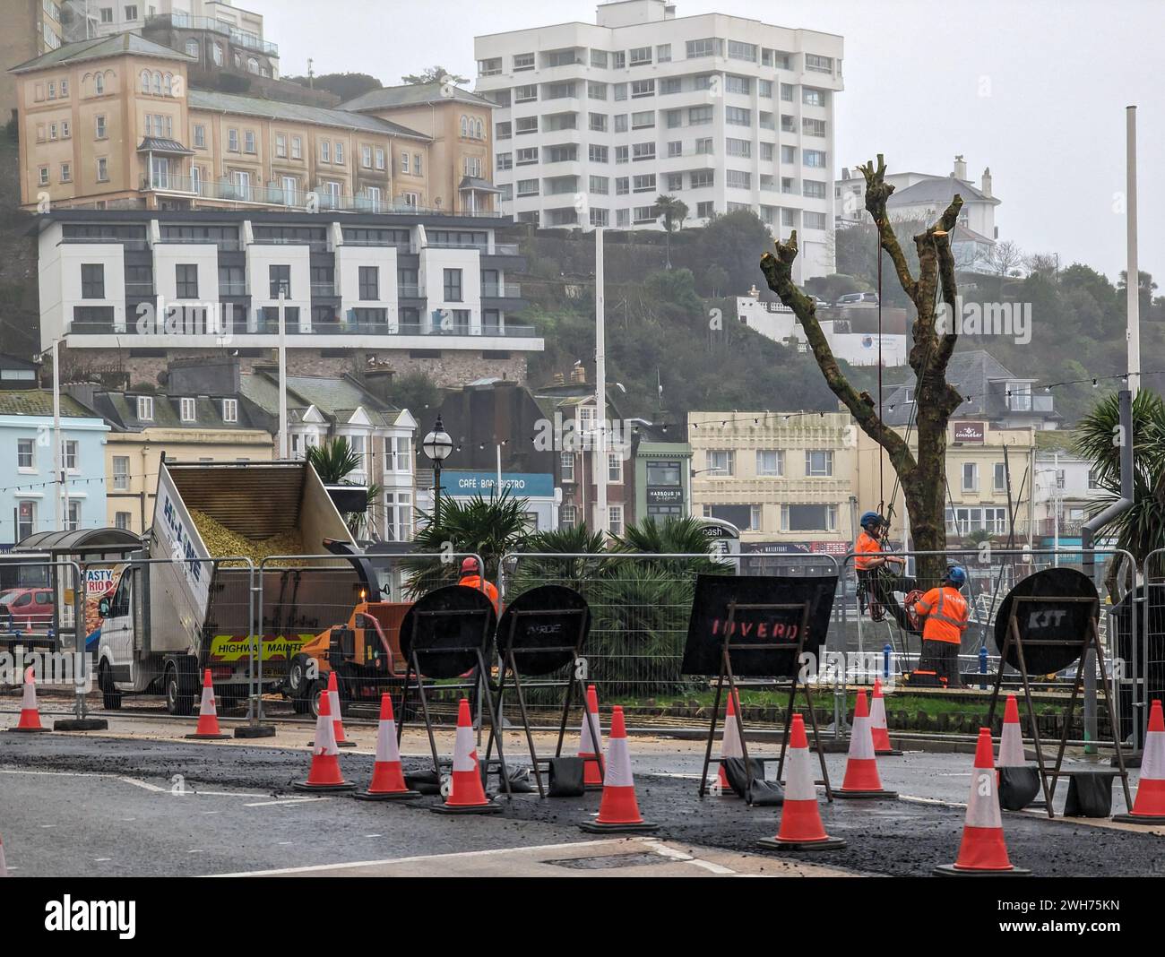 Torquay, UK. 8th Feb, 2024. Council workers cut down trees along the ...