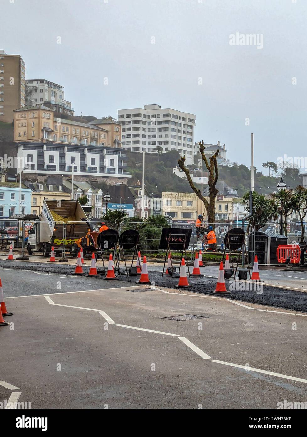 Torquay, UK. 8th Feb, 2024. Council workers cut down trees along the ...