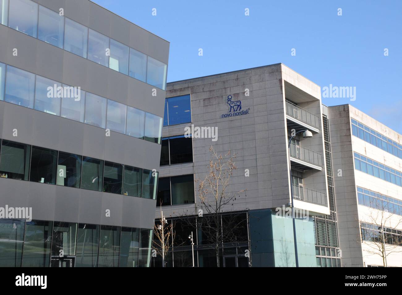 Copenhagen, Denmark /08 February 2024/ Novo Nordisk medicine firm ...