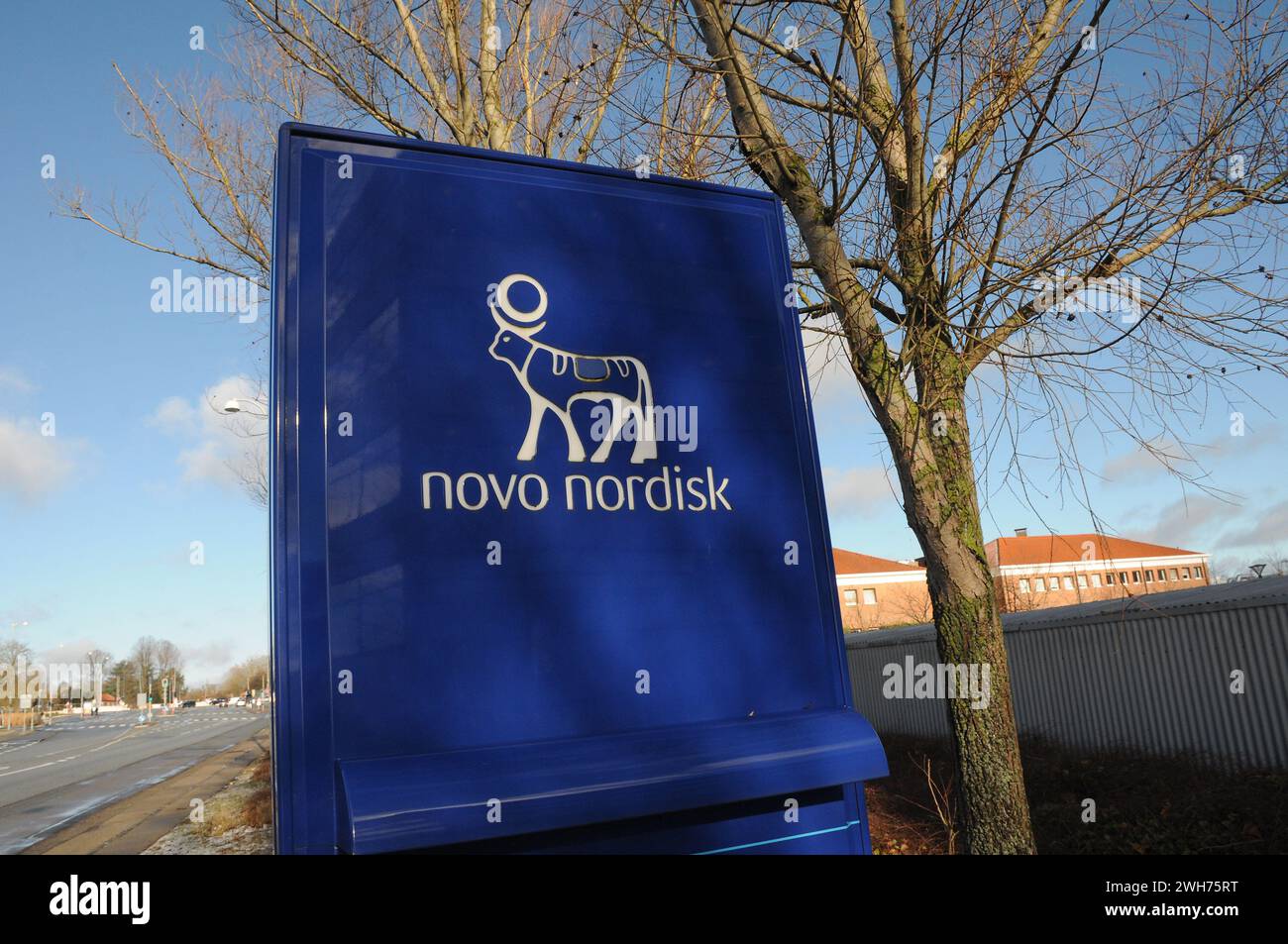 Copenhagen, Denmark /08 February 2024/ Novo Nordisk medicine firm ...