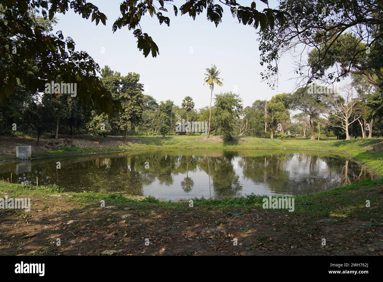 Water body. Acharya Jagadish Chandra Bose Indian Botanic Garden. Howrah ...