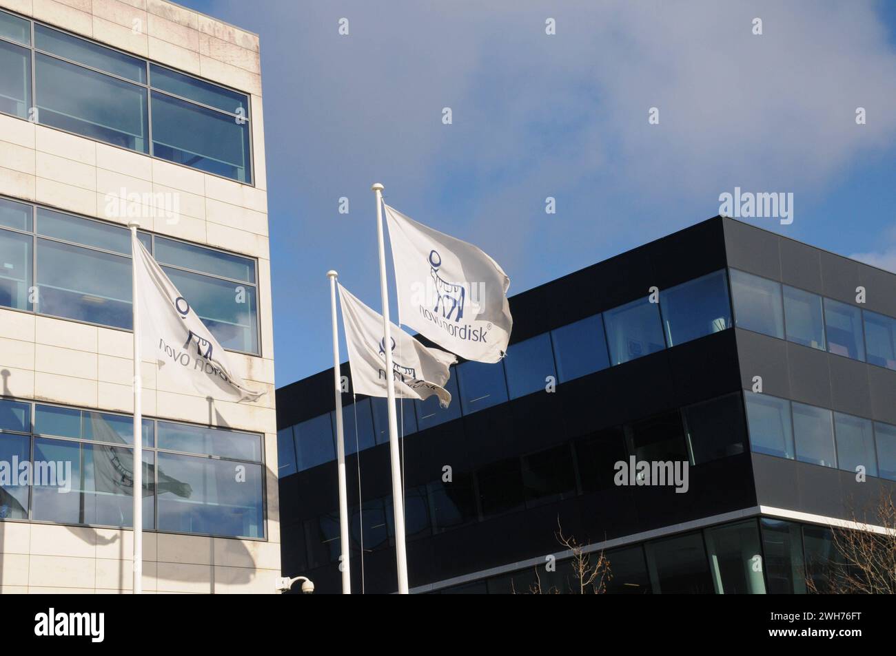 Copenhagen, Denmark /08 February 2024/ Novo Nordisk medicine firm ...