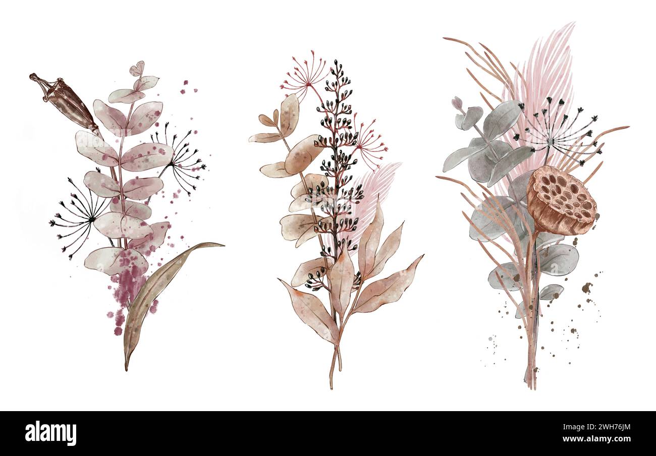 Watercolor wildflowers bouquet in boho style. Exotic flowers, dry ...