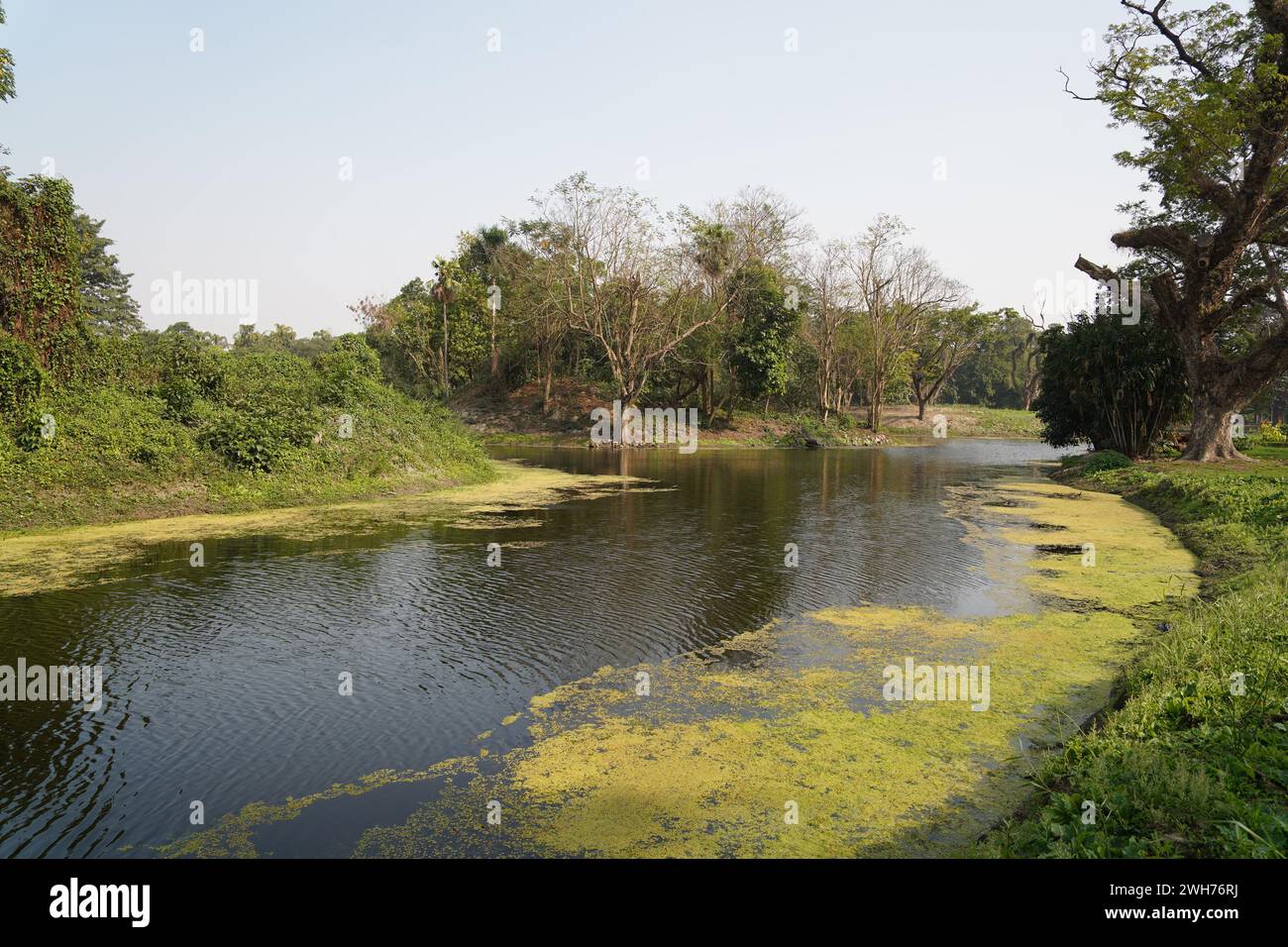 King's Lake. Acharya Jagadish Chandra Bose Indian Botanic Garden. Howrah, Kolkata, West Bengal ...