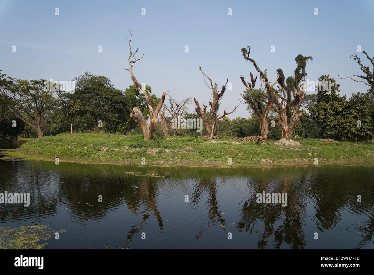 King's Lake. Acharya Jagadish Chandra Bose Indian Botanic Garden ...