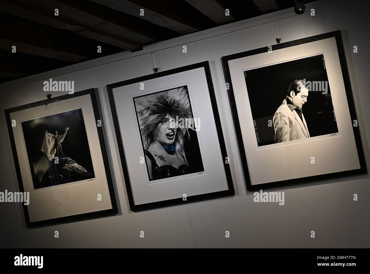 Milan, . 08th Feb, 2024. Milan, Italy QUEEN UNSEEN exhibition by Peter ...