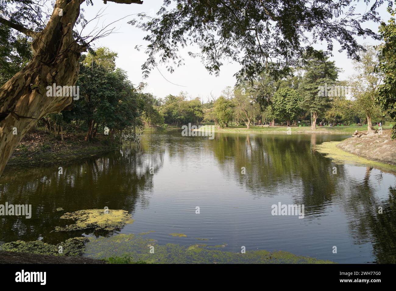 King's Lake. Acharya Jagadish Chandra Bose Indian Botanic Garden. Howrah, Kolkata, West Bengal ...