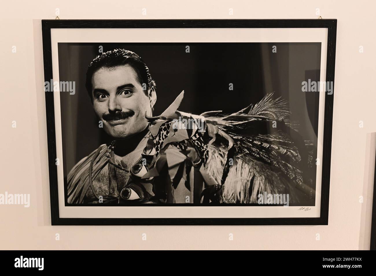 Milan, . 08th Feb, 2024. Milan, Italy QUEEN UNSEEN exhibition by Peter ...