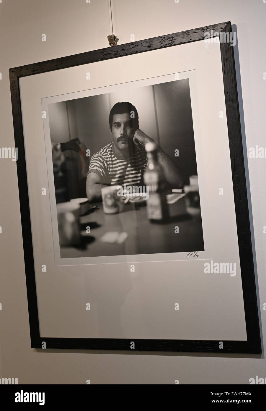 Milan, . 08th Feb, 2024. Milan, Italy QUEEN UNSEEN exhibition by Peter ...