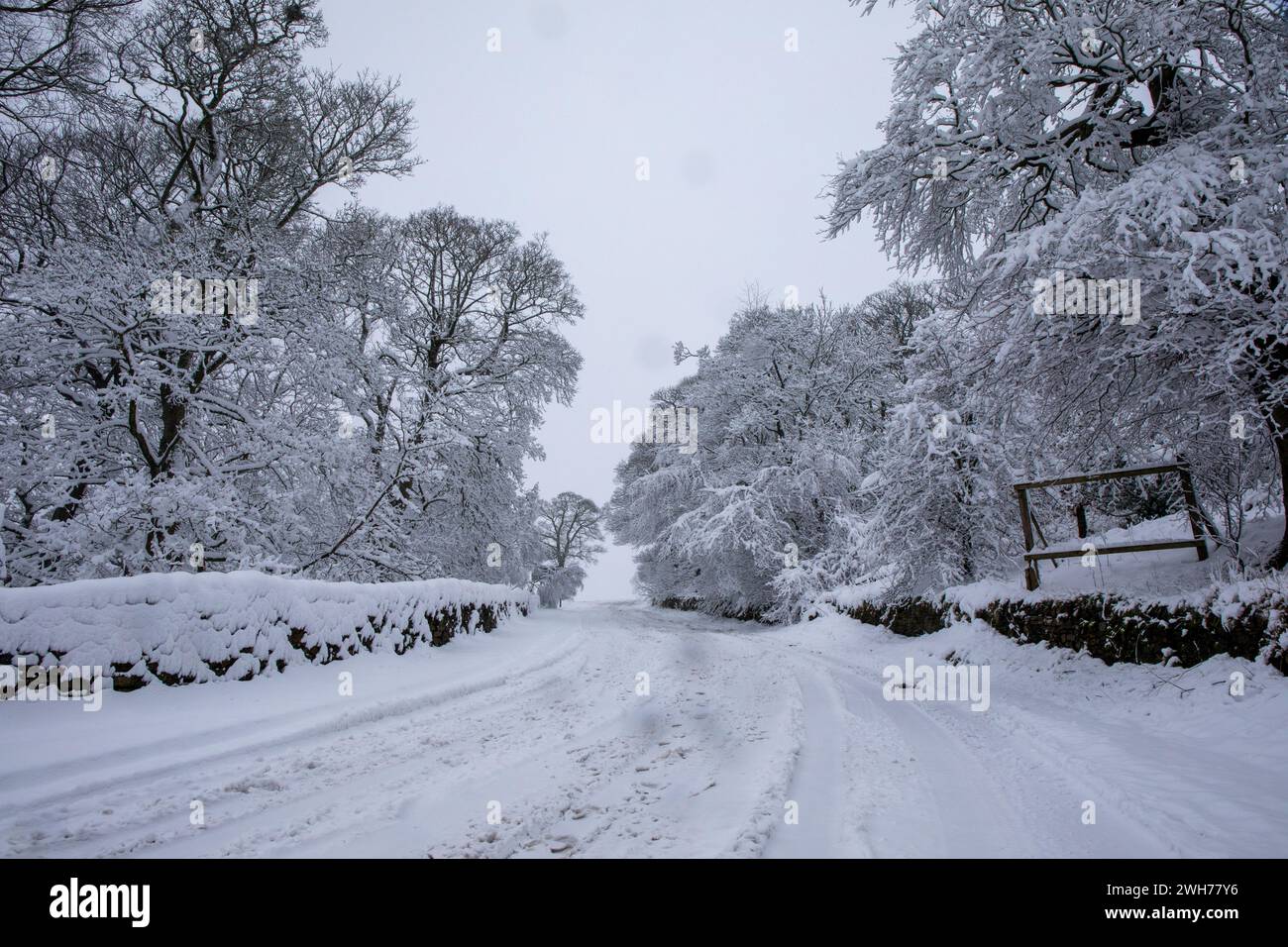 Peak District, UK / 8th February 2024/ Heavy snow fall at the Longshaw ...
