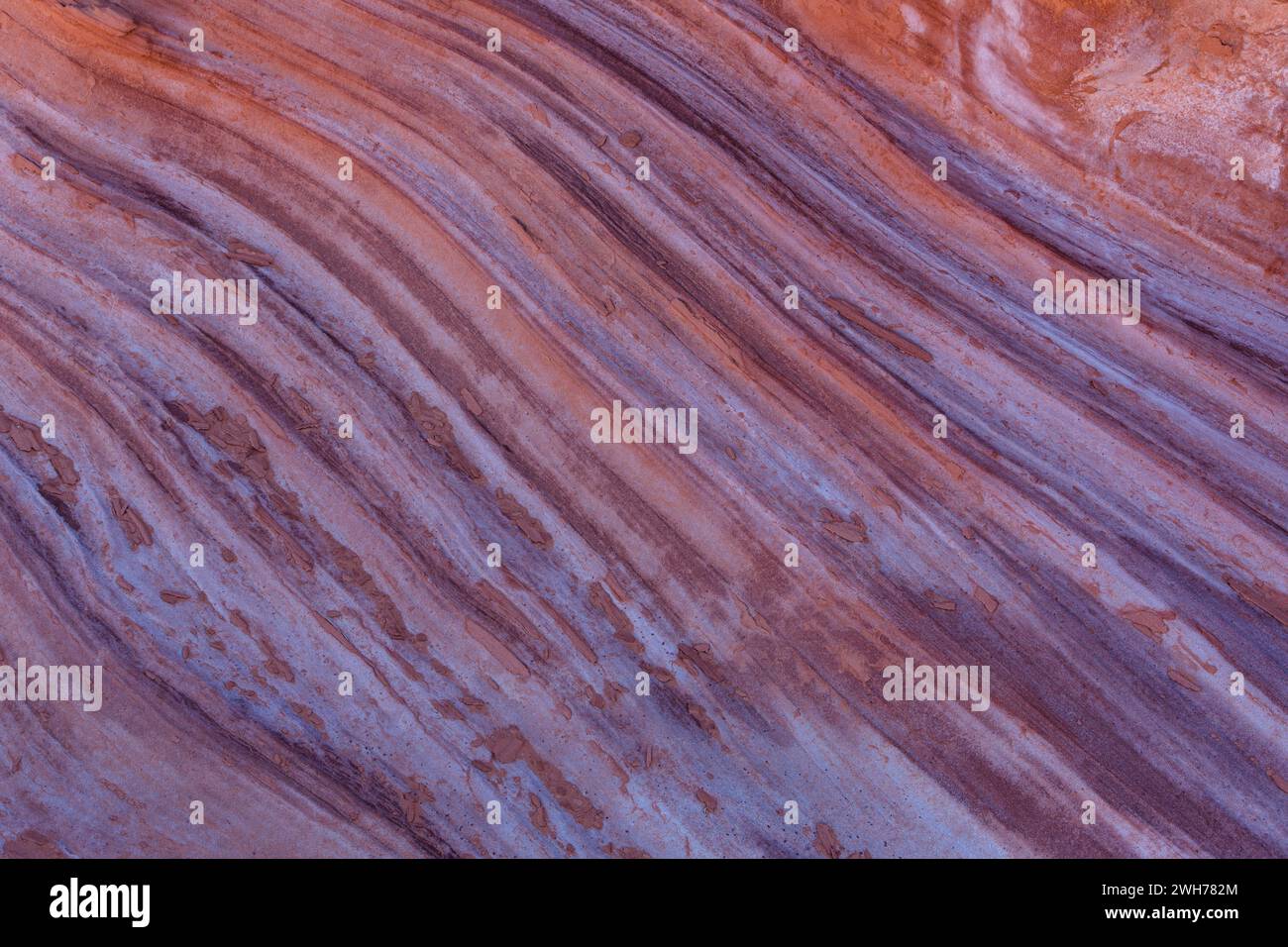 Colorful eroded Aztec sandstone formations in Little Finland, Gold ...