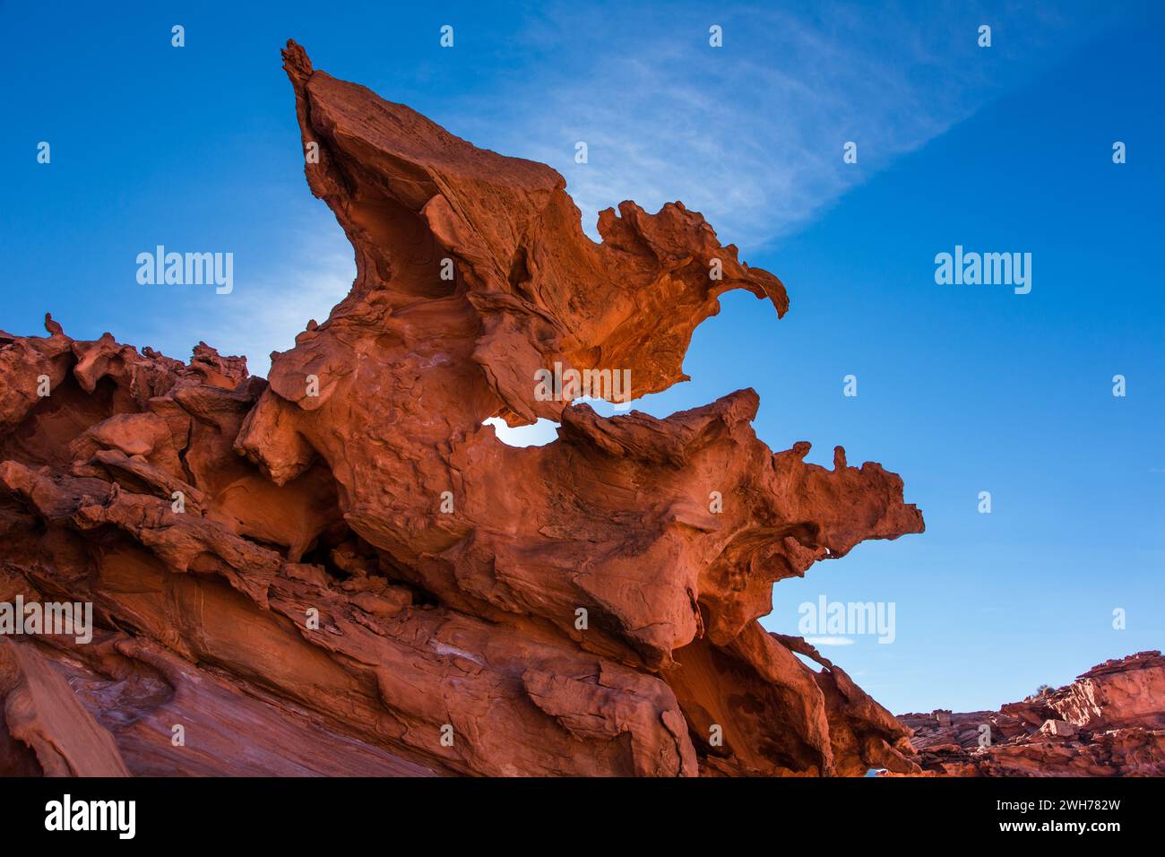 Fragile eroded Aztec sandstone formations in Little Finland, Gold Butte ...