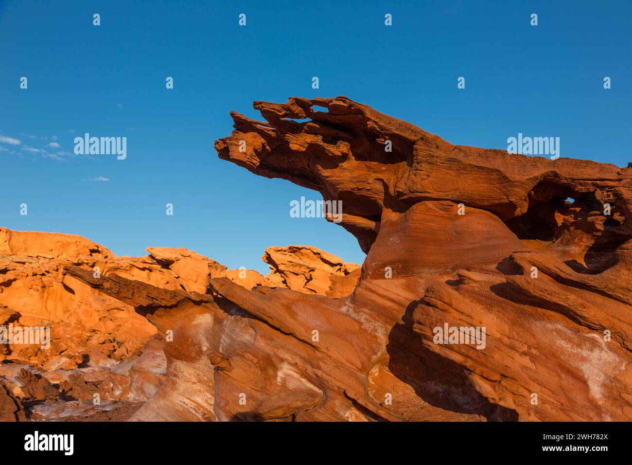 Fragile eroded Aztec sandstone formations in Little Finland, Gold Butte ...