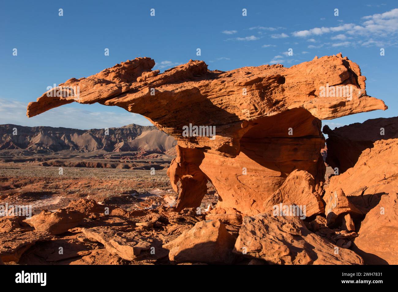 Fragile eroded Aztec sandstone formations in Little Finland, Gold Butte ...
