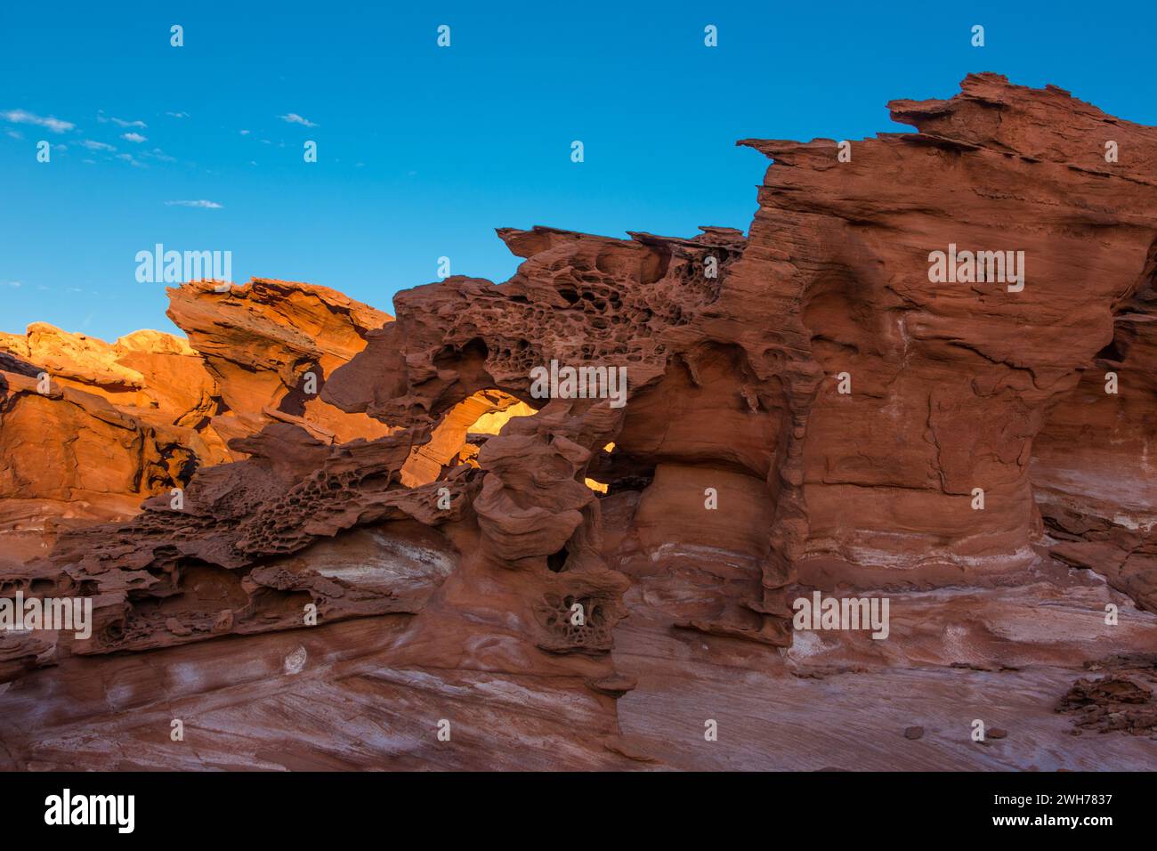 Micro blue shapes hi-res stock photography and images - Alamy