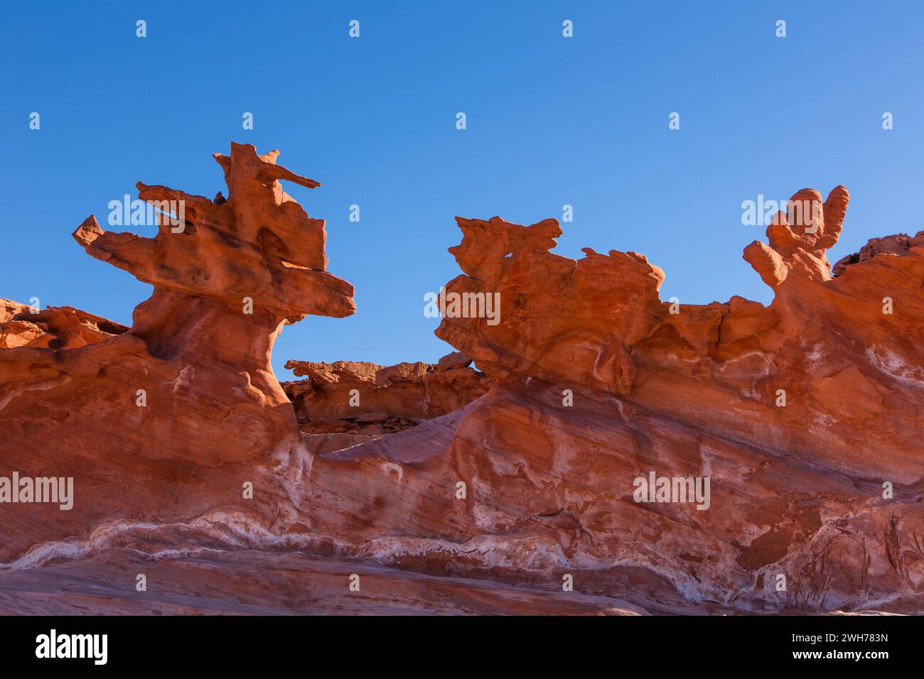 Fragile eroded Aztec sandstone formations in Little Finland, Gold Butte ...
