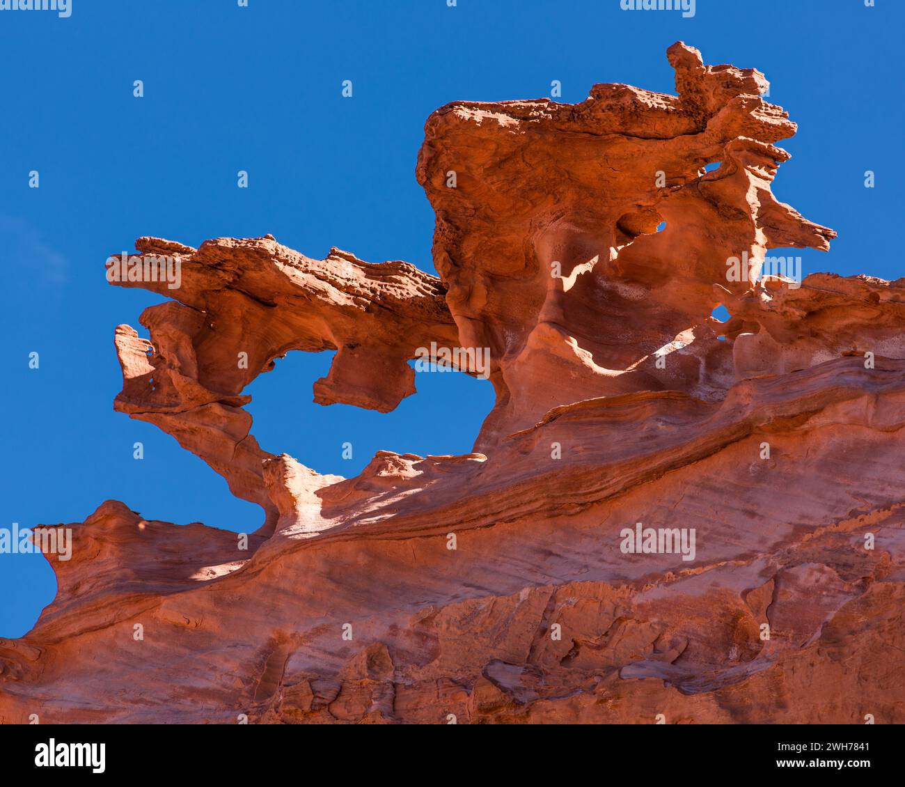 Fragile eroded Aztec sandstone formations in Little Finland, Gold Butte ...