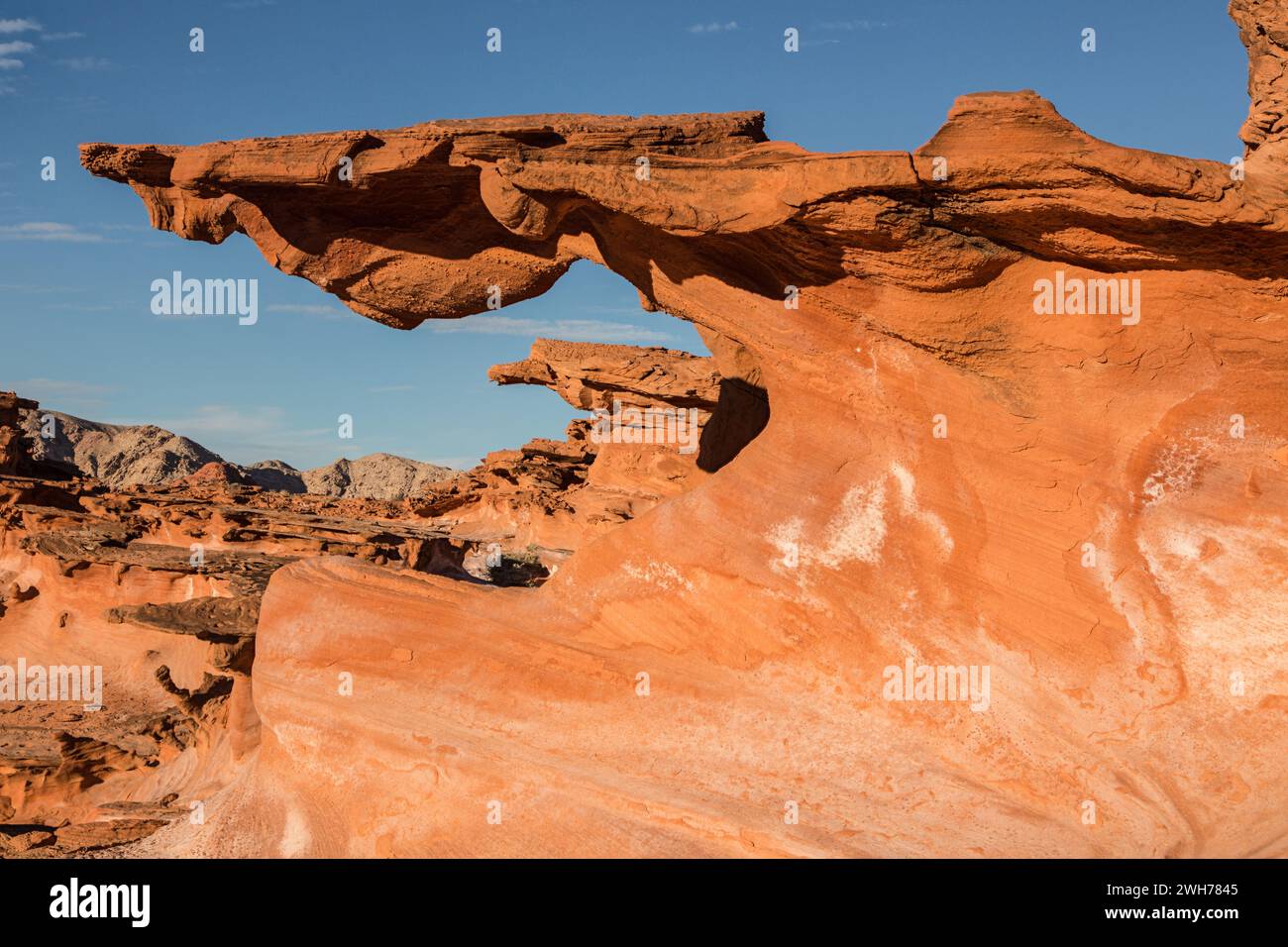 Fragile eroded Aztec sandstone formations in Little Finland, Gold Butte ...