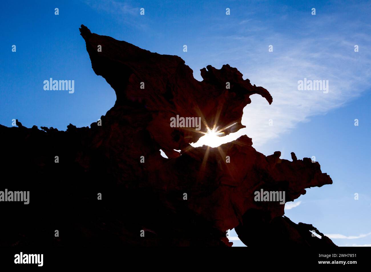 Fragile eroded Aztec sandstone formations in Little Finland, Gold Butte ...