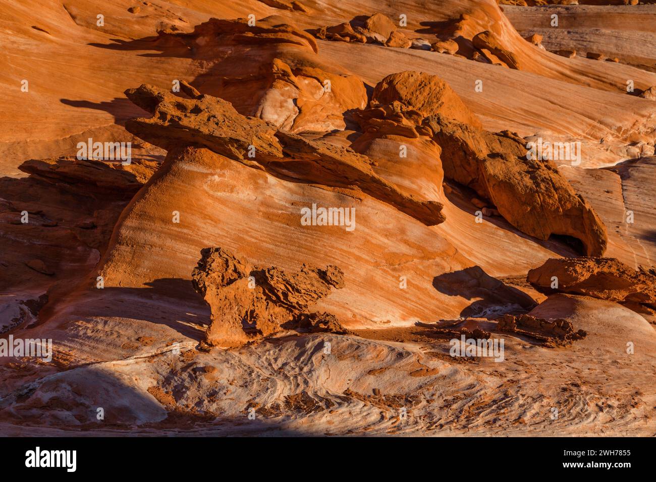 Colorful eroded Aztec sandstone formations in Little Finland, Gold ...