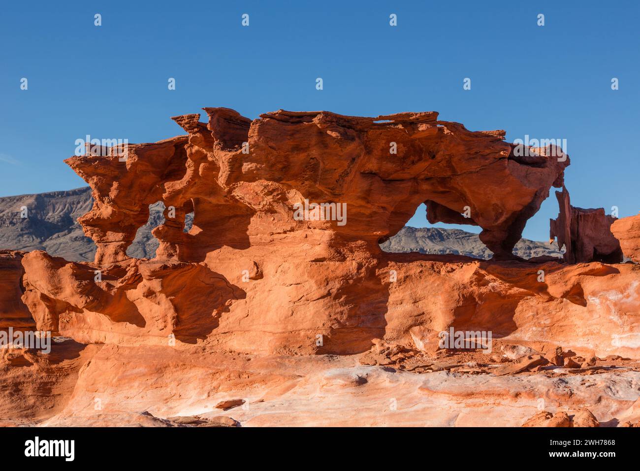 Fragile eroded Aztec sandstone formations in Little Finland, Gold Butte ...