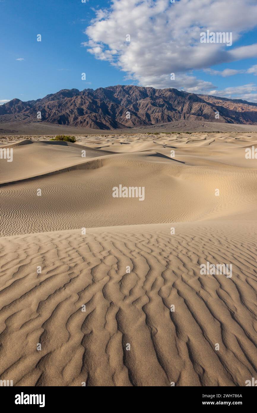 Ripples in the Mesquite Flat sand dunes in Death Valley National Park ...