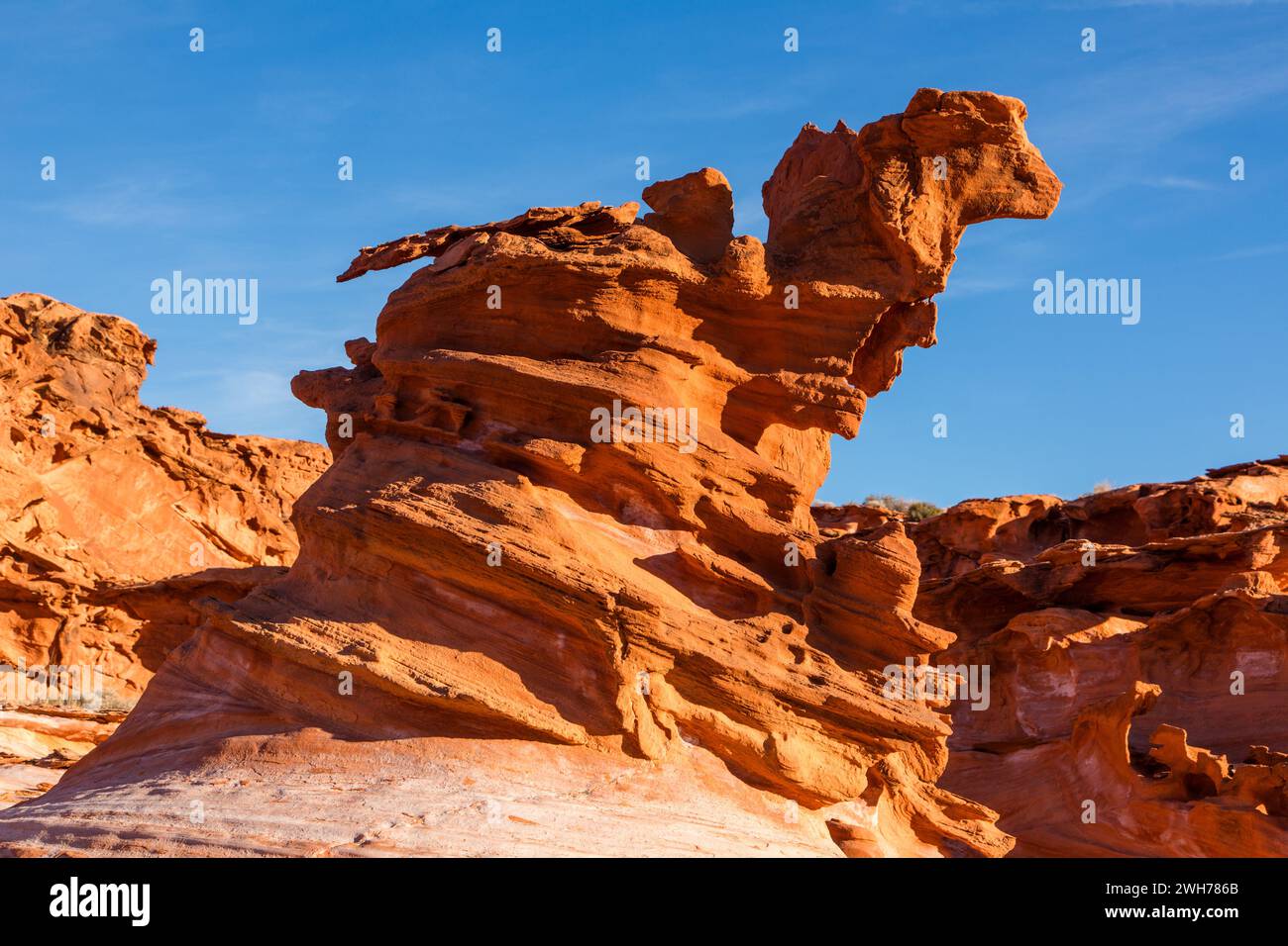 Fragile eroded Aztec sandstone formations in Little Finland, Gold Butte ...