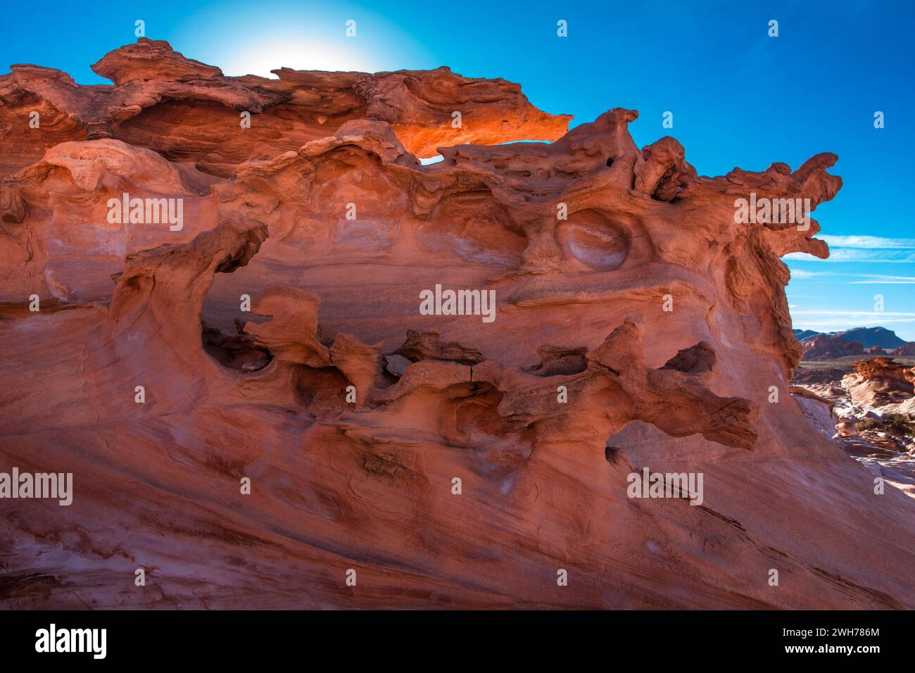 Fragile eroded Aztec sandstone formations in Little Finland, Gold Butte ...